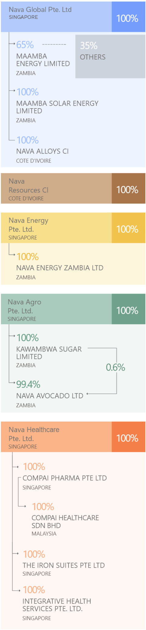 Subsidiaries | NAVA